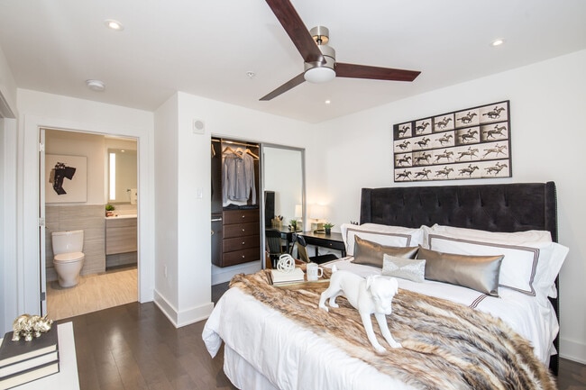 Temple University | Off-Campus Housing Search