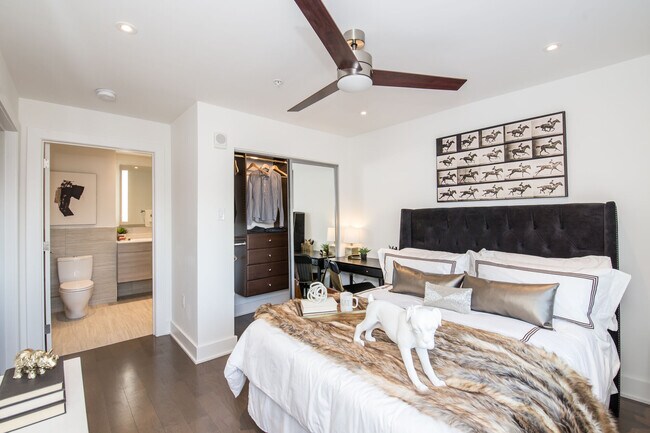 Villanova University | Off-Campus Housing Search