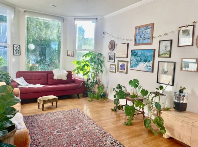 1245 Herkimer St Off-Campus Housing, Brooklyn, NY