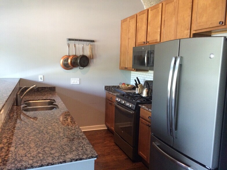 1151 W 14th Plz Unit 0137 - Condo for Rent in Chicago, IL | ForRent.com