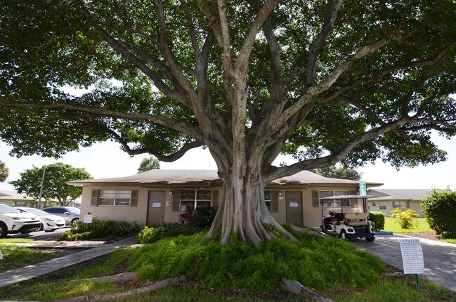 Cottage Cove Apartments For Rent in Miami, FL | ForRent.com