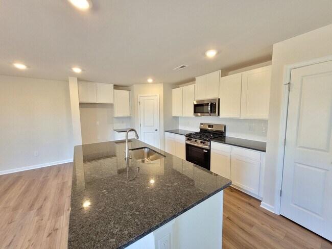 BRAND NEW - Stunning 4 Bed/2.5 Bath Home -... - House Rental in ...