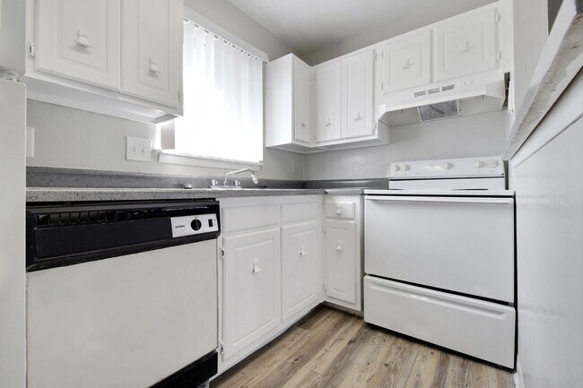 Club at Charter Pointe Apartments For Rent in Jacksonville, FL ...