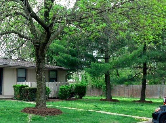 Heathmoore - Evansville Apartments - Evansville, IN | ForRent.com