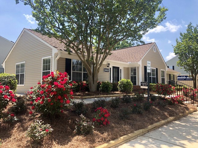 Summit View Apartments For Rent in Browns Summit, NC | ForRent.com