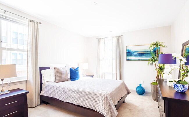 Harvard University | Off-Campus Housing Search