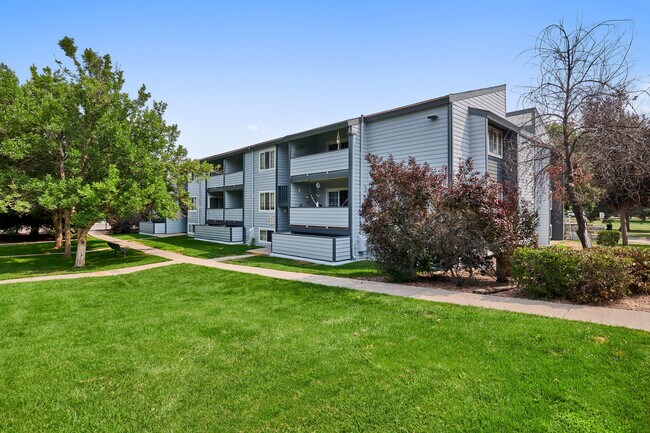 Novi at Lowry Apartments For Rent in Denver, CO | ForRent.com