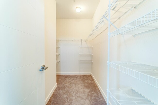 Maple View Flats Apartments For Rent in Washington, DC | ForRent.com