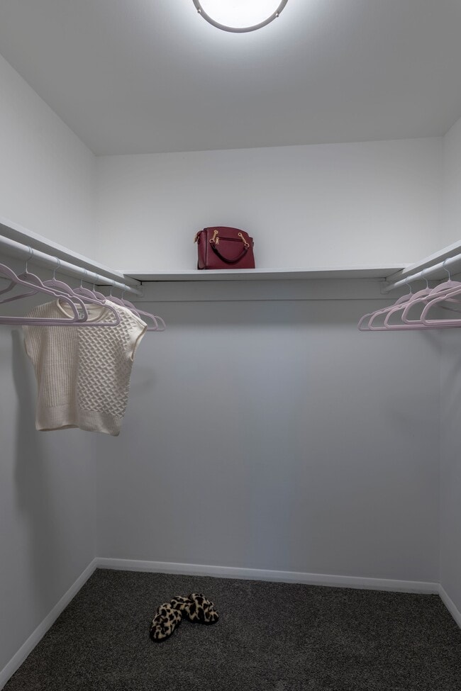 Towson University | Off-Campus Housing Search