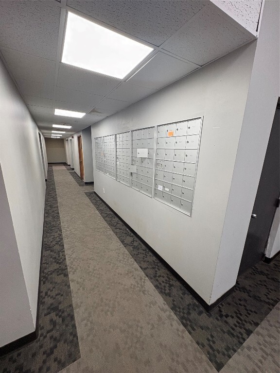 65 Front St Unit 327 Off-Campus Housing, Binghamton, NY