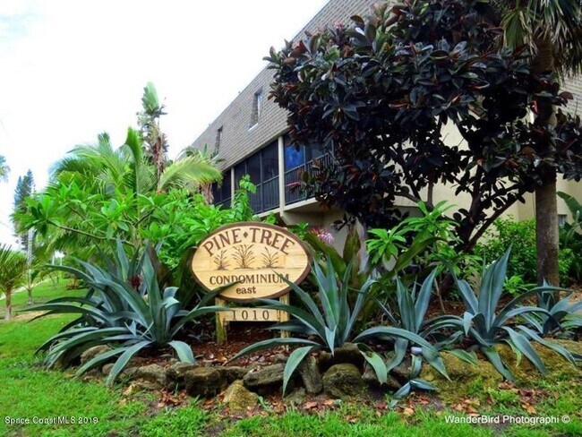 1010 Pine Tree Dr Condo Unit 204 - Condo for Rent in Satellite Beach ...