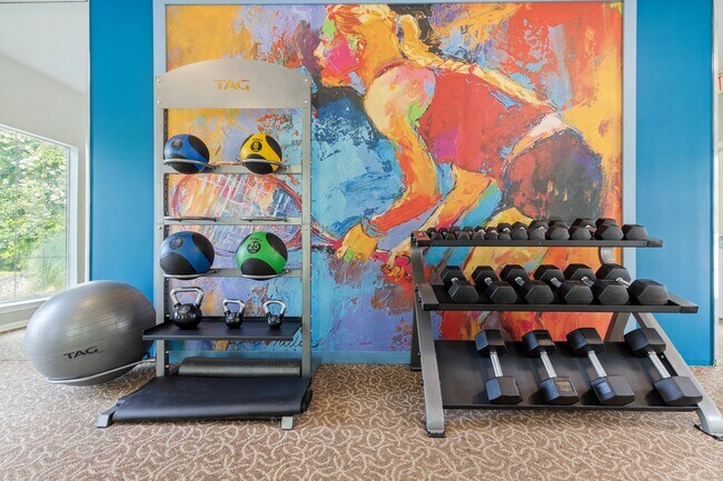 Cherry Grove Commons Apartments - North Myrtle Beach, SC | ForRent.com