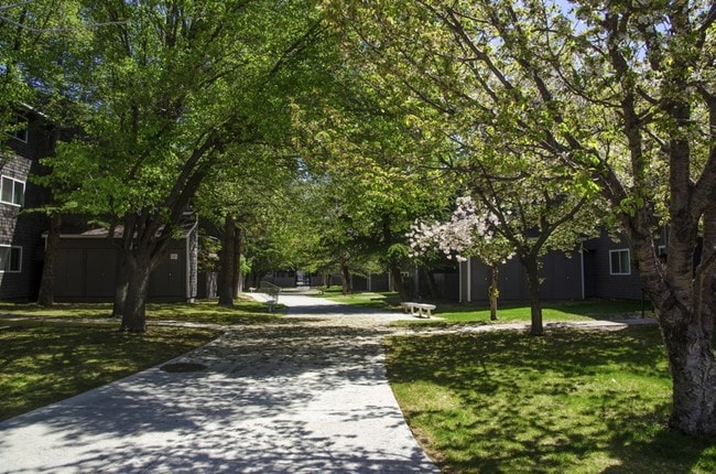 Golden Apartments - Reno, NV | ForRent.com