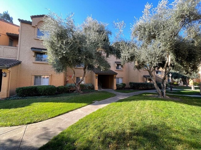 725 Watson Canyon Court #316, San Ramon, C... - House Rental in San ...