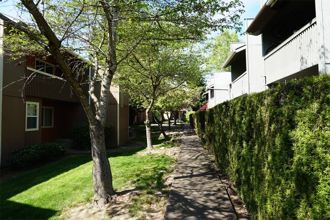 13050 NW Cornell Rd Unit F-08 - Portland, OR | ForRent.com