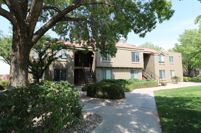 Cinnamon Tree Apartments For Rent in Albuquerque, NM | ForRent.com