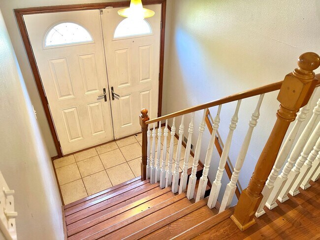 Argay Neighborhood Split Level with Gorgeo... - House Rental in ...