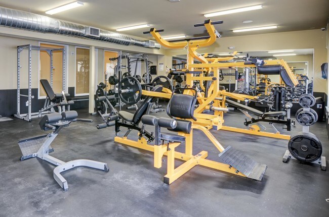 Clemson Lofts | Clemson University | Off-Campus Housing Search