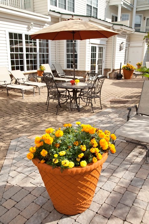 Primrose Place Apartments - Ocean Township, NJ | ForRent.com