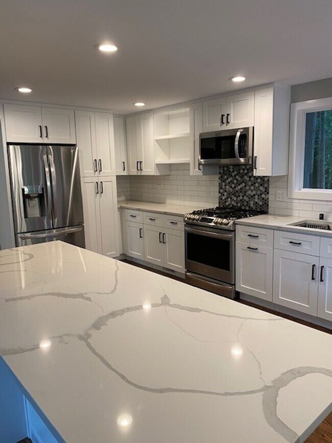 Gorgeous remodel with chefs kitchen, manic... - House Rental in ...