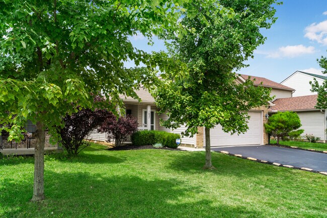 1937 Prominence Dr House - House Rental in Grove City, OH | ForRent.com