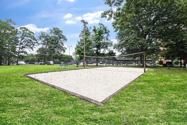 Georgetown | Off-Campus Housing Search