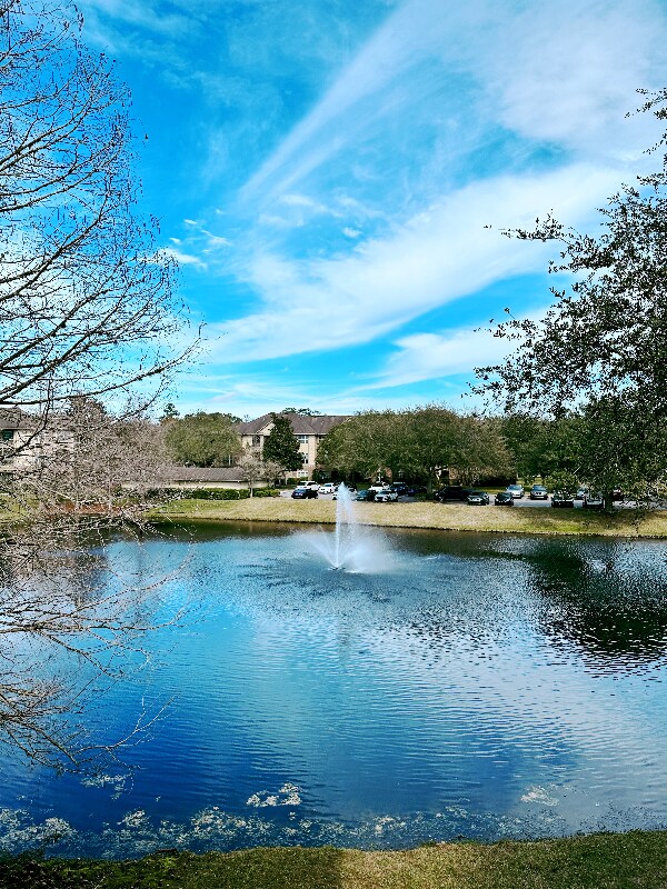 7800 Point Meadows Dr Unit 822 - Condo for Rent in Jacksonville, FL ...