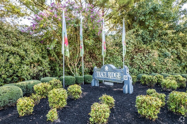 Trace Ridge Apartments - Tupelo, MS | ForRent.com
