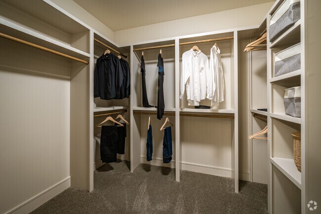 Brava Apartments - Houston, TX | ForRent.com