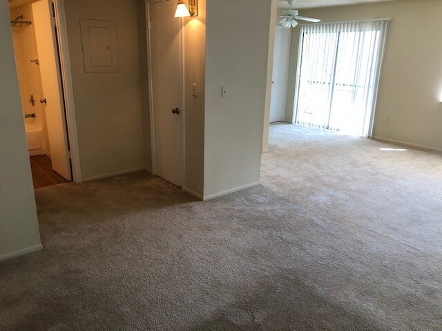 Deerpath on the Lake Apartments For Rent in Tampa, FL | ForRent.com