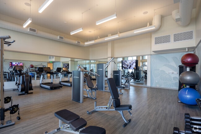 Bolsa Row Apartments For Rent in Westminster, CA | ForRent.com