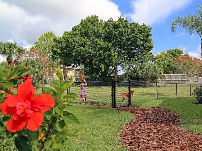 Madison at Largo Apartments For Rent in Largo, FL | ForRent.com