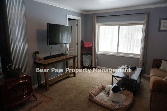 Cozy Cabin Nestled in the Woods of Conifer - House Rental in Conifer ...