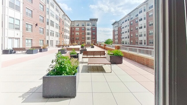 Harvard University | Off-Campus Housing Search