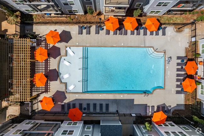 Dockside Clemson Apartments | Clemson University | Off-Campus Housing ...