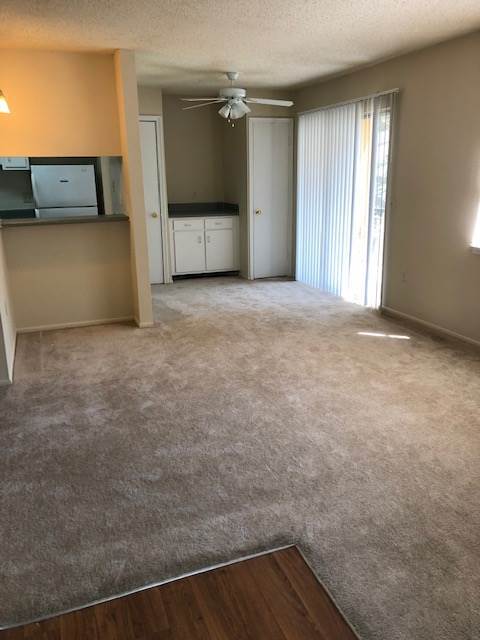 Deerpath on the Lake Apartments For Rent in Tampa, FL | ForRent.com