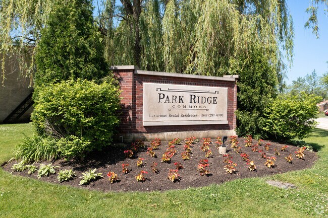 Park Ridge Commons Apartments - Des Plaines, IL | ForRent.com