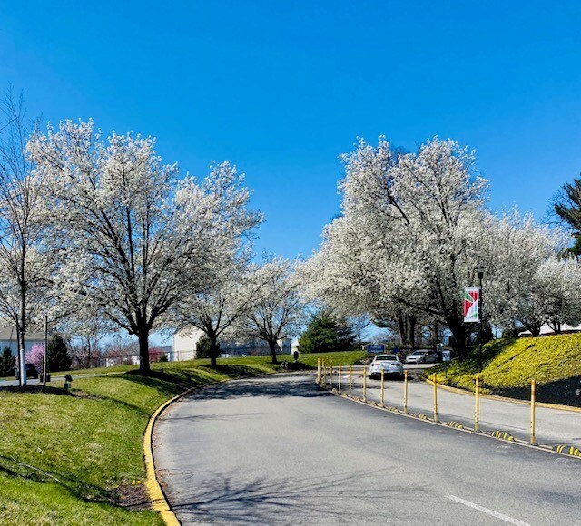 Villanova University | Off-Campus Housing Search