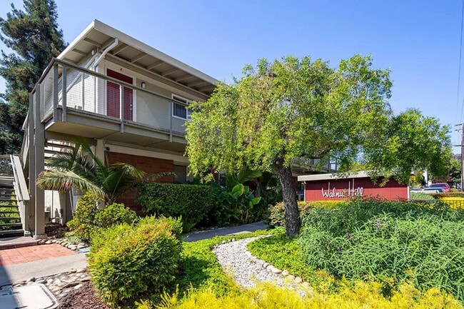 Walnut Hill Apartments - Walnut Creek, CA | ForRent.com