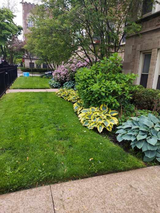 6856 S Oglesby Ave Condo Unit 3 - Condo for Rent in Chicago, IL ...