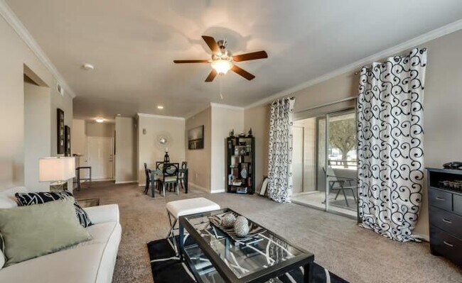 1 bedroom in Grand Prairie TX 75050 Condo Unit 1015 - Condo for Rent in ...