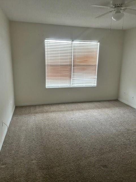 4009 Old Shell Rd Unit C16 - Condo for Rent in Mobile, AL | ForRent.com