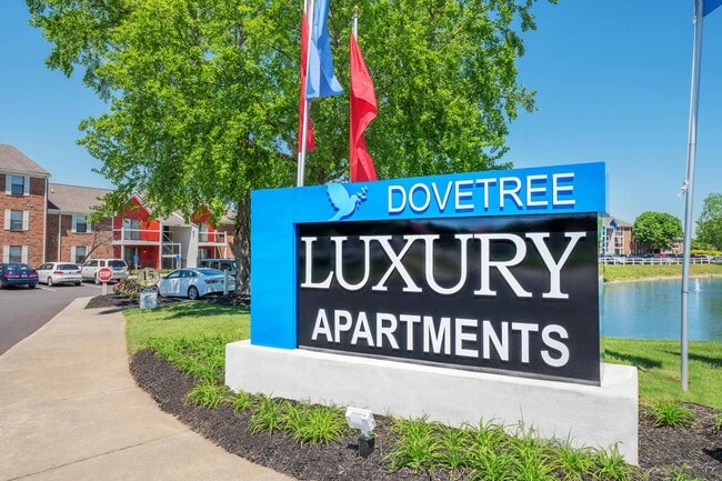 Dovetree Apartments - Dayton, OH | ForRent.com