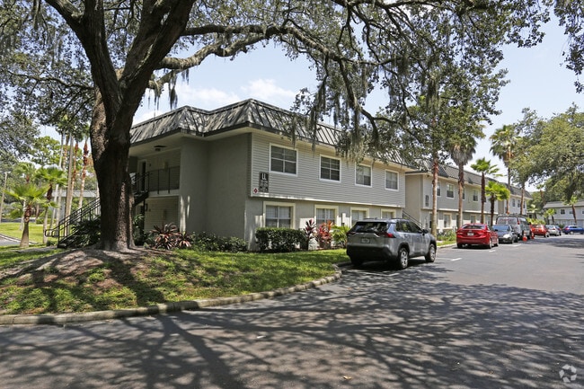 Willow Brooke Apartments - Tampa, FL | ForRent.com