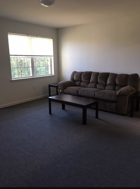 Golden Ridge Apartments - Monticello, NY | ForRent.com