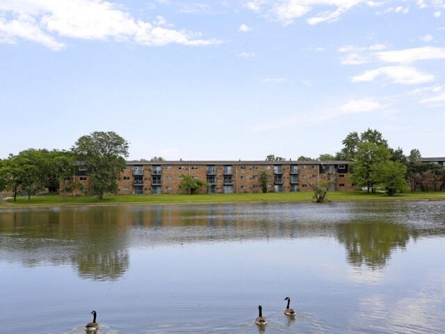 Sunset Lake Apartments For Rent in Justice, IL | ForRent.com