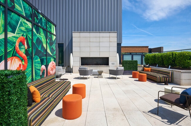 American University | Off-Campus Housing Search