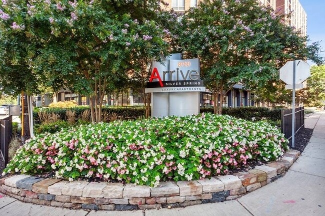 Arrive Silver Spring Apartments - Silver Spring, MD | ForRent.com