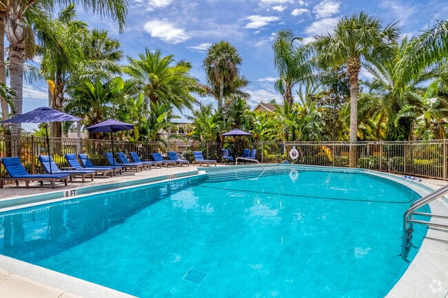 Madison at Largo Apartments For Rent in Largo, FL | ForRent.com