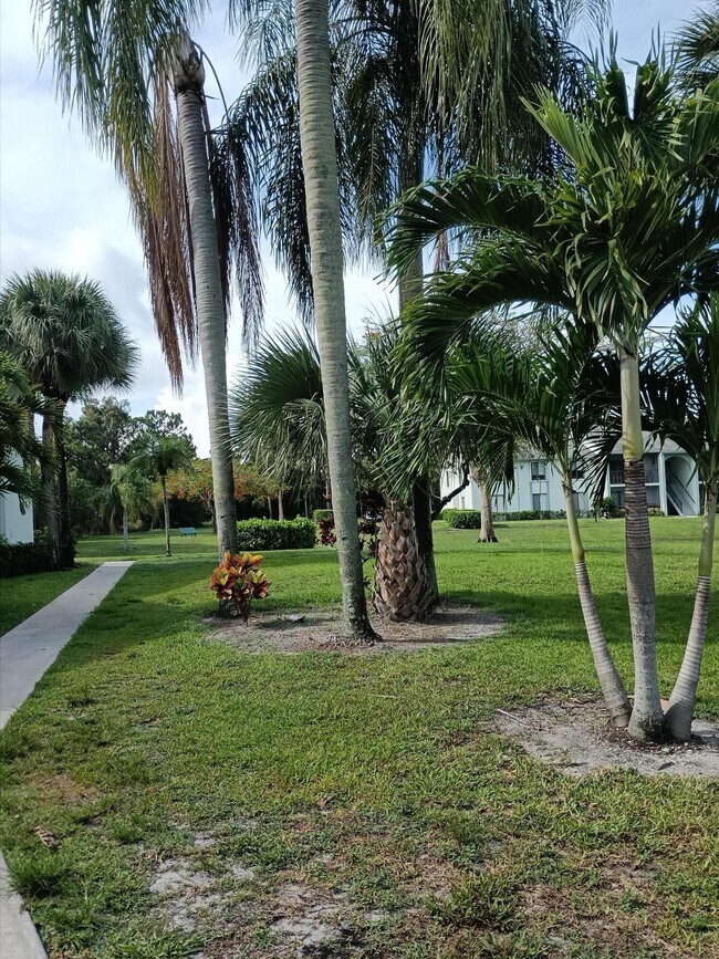 3618 Alder Dr Unit C2 - Condo for Rent in West Palm Beach, FL | ForRent.com